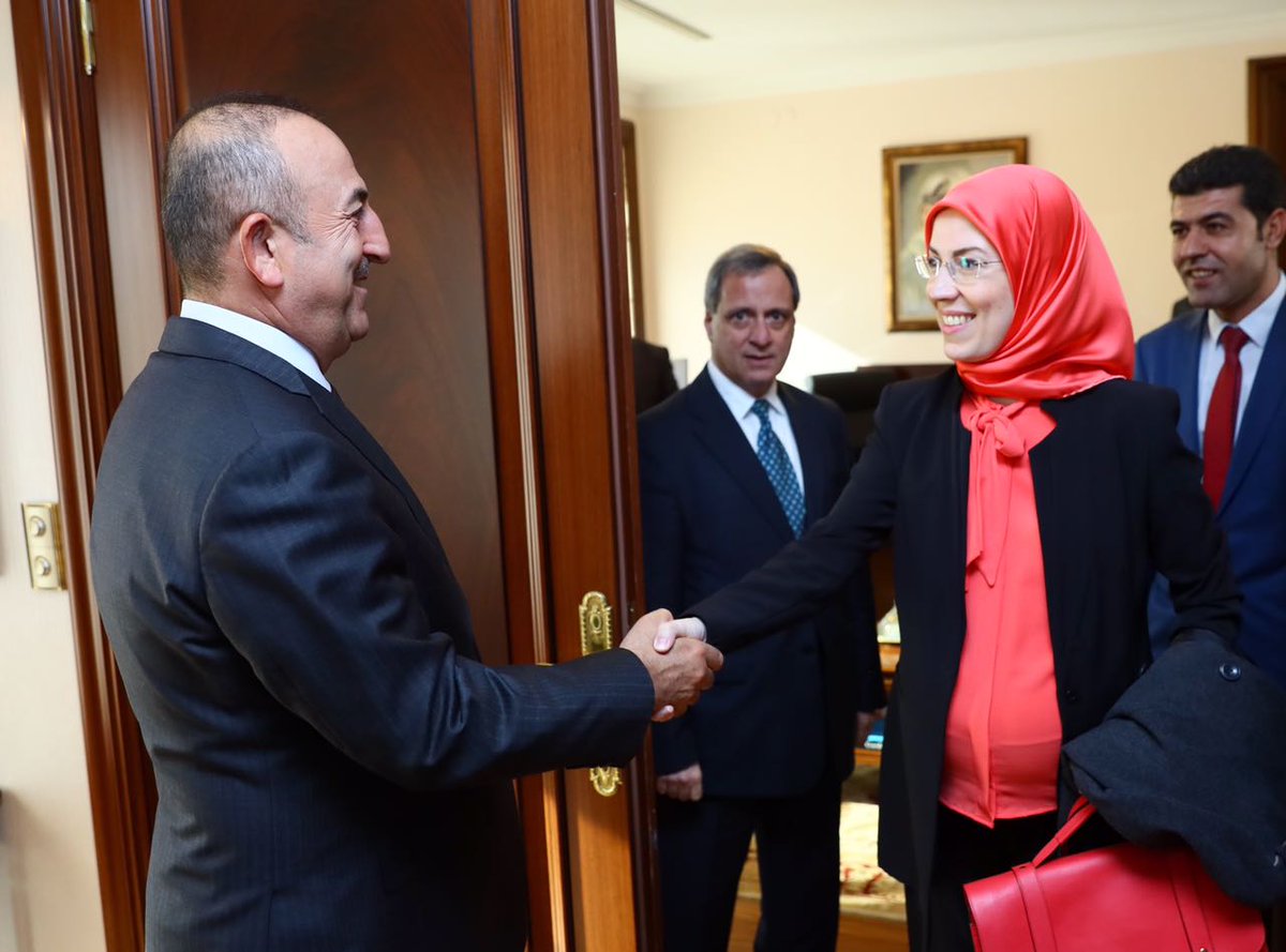 Foreign Minister Çavuşoğlu received Riad Seif, President of Syrian ...