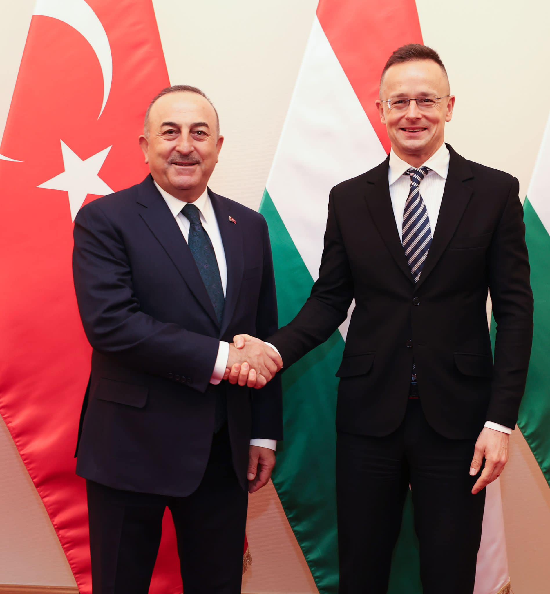 Foreign Minister Çavusoğlu's visit to Hungary, 31 January 2023 ...